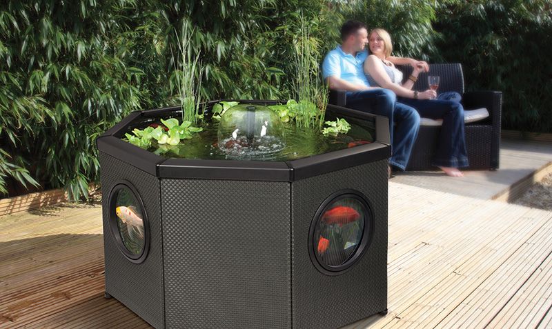 Blagdon Affinity Ponds – Water World Pet & Aquatic Centre