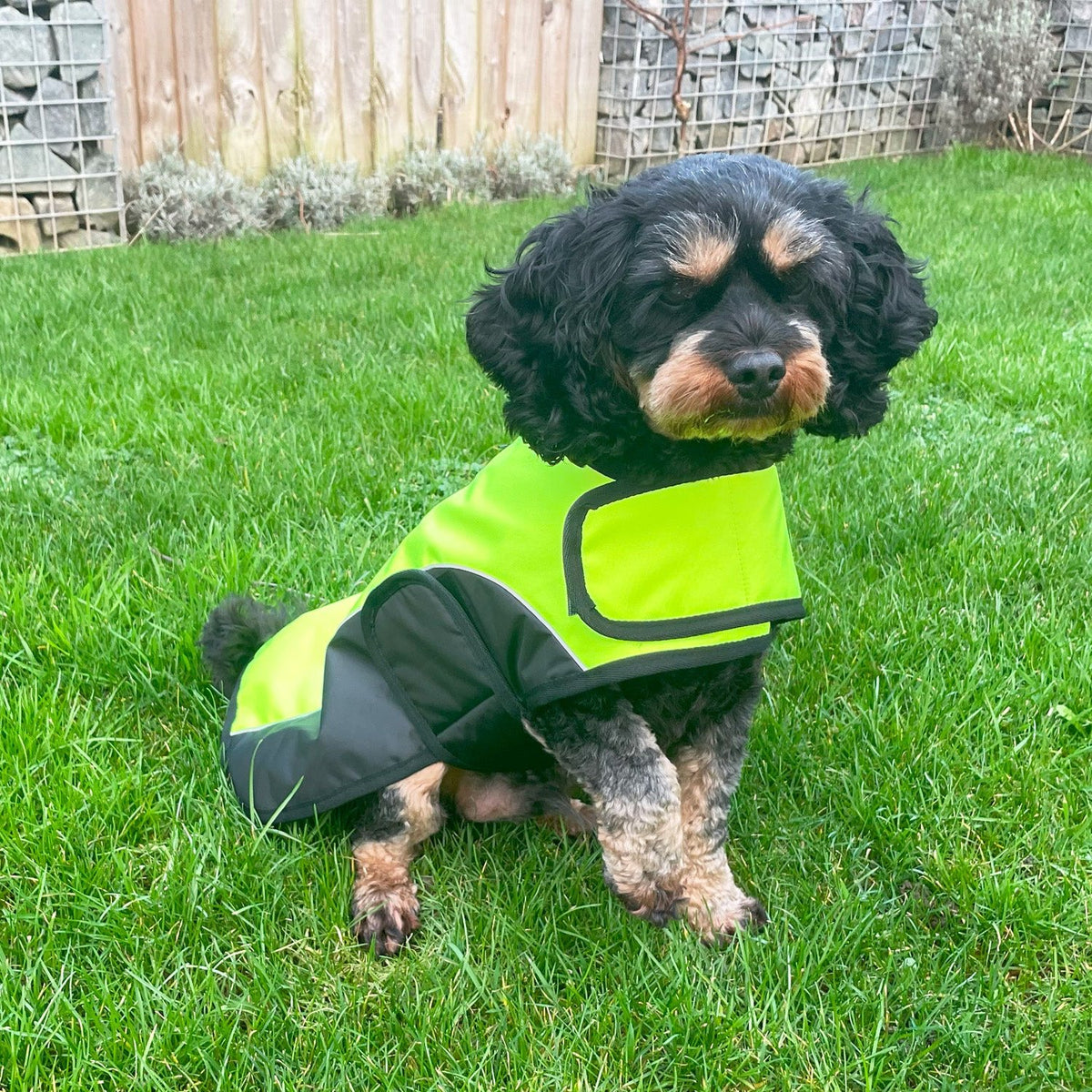 Go Walk Hi-Vis Dog Jacket – Water World Pet & Aquatic Centre