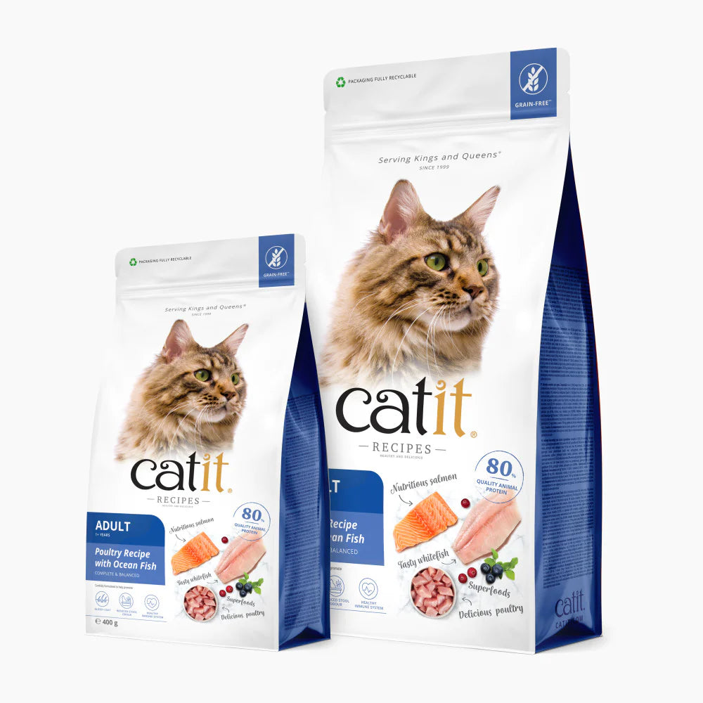Catit Recipes Adult Poultry Recipe with Ocean Fish Cat Food – Water ...