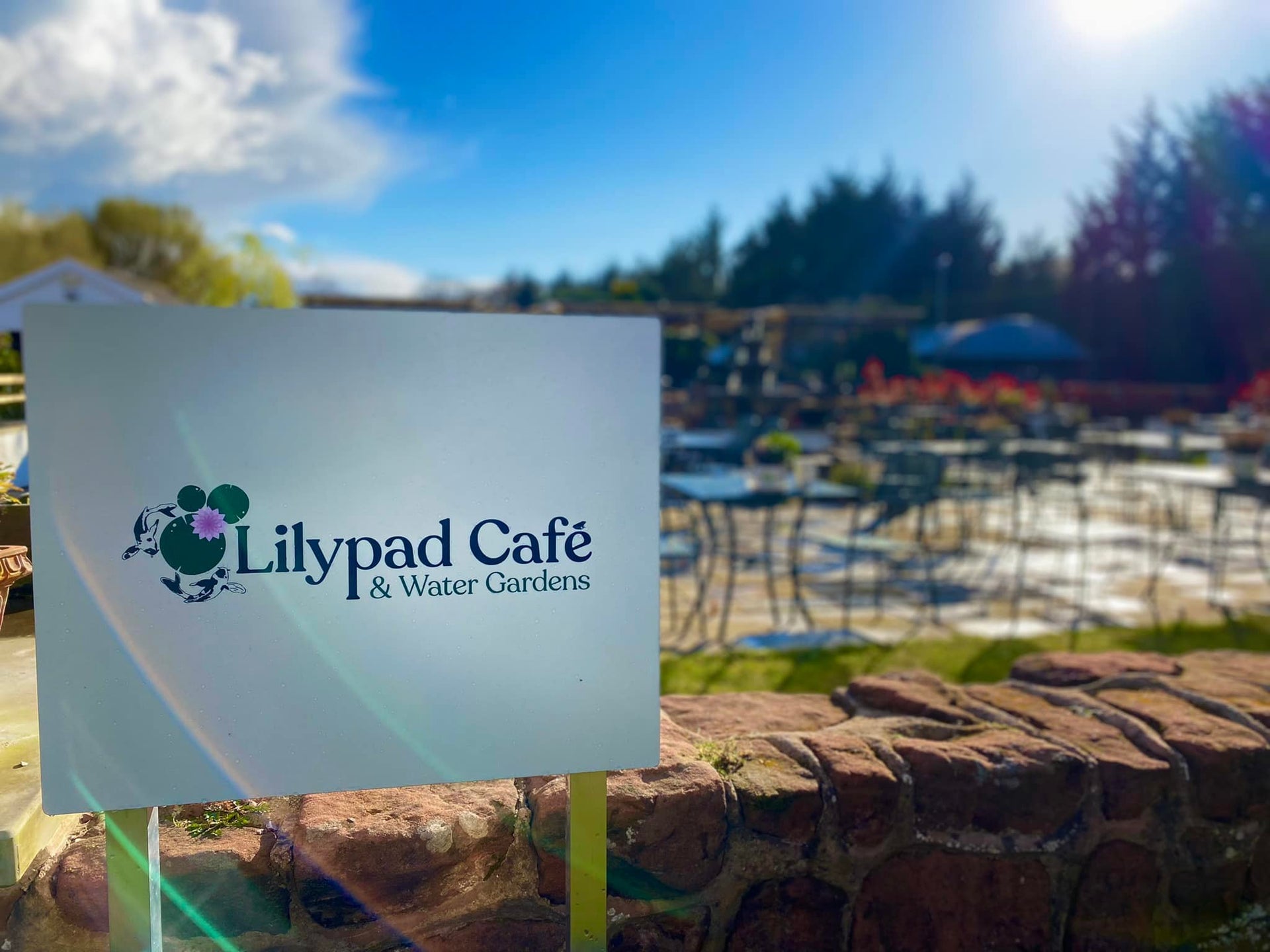 Lilypad Cafe – Water World Pet & Aquatic Centre