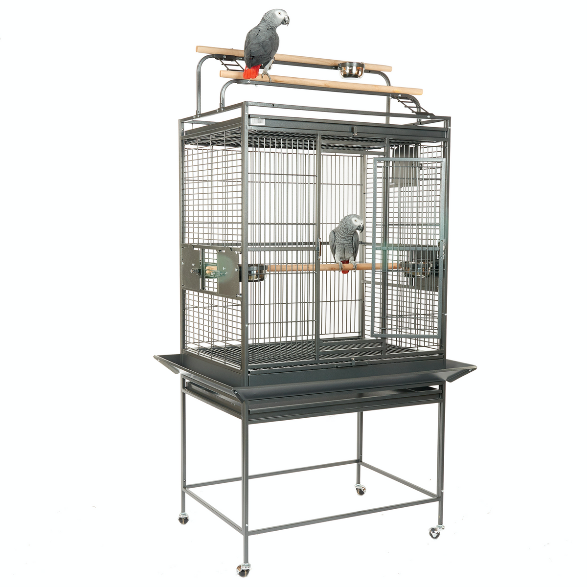 Dakota Parrot Cage – Water World Pet & Aquatic Centre