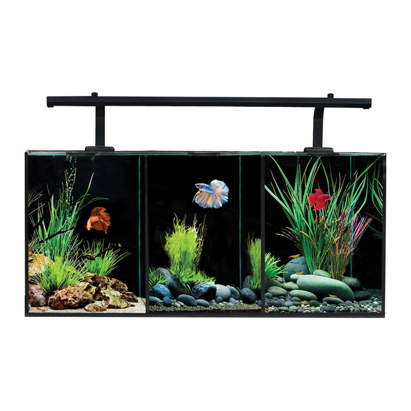 AquaOne Betta Trio 32 – Water World Pet & Aquatic Centre